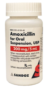 Amoxicillin Suspension Amoxicillin And Clavulanate Potassium Oral
