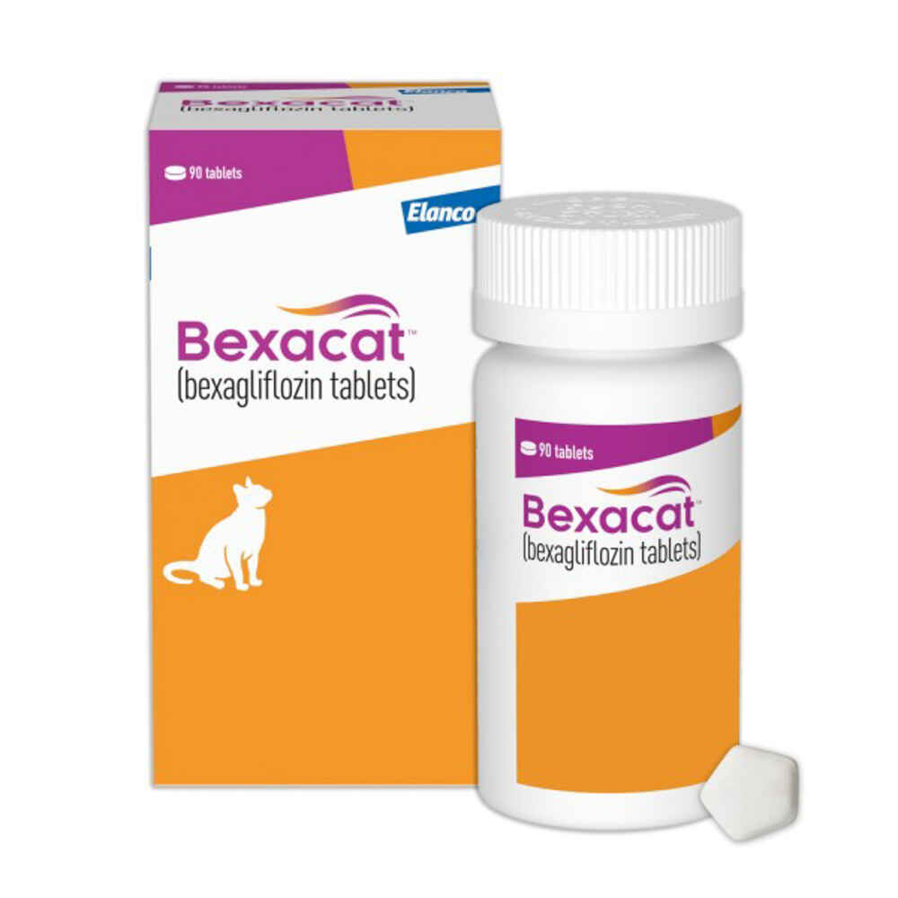 Bexacat (bexagliflozin) 15mg for Cats 6.6 lbs and Over 90 Tablets