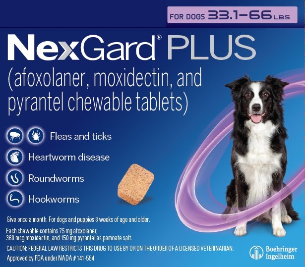 NexGard PLUS for Dogs 33.1-66 lbs 6 Month