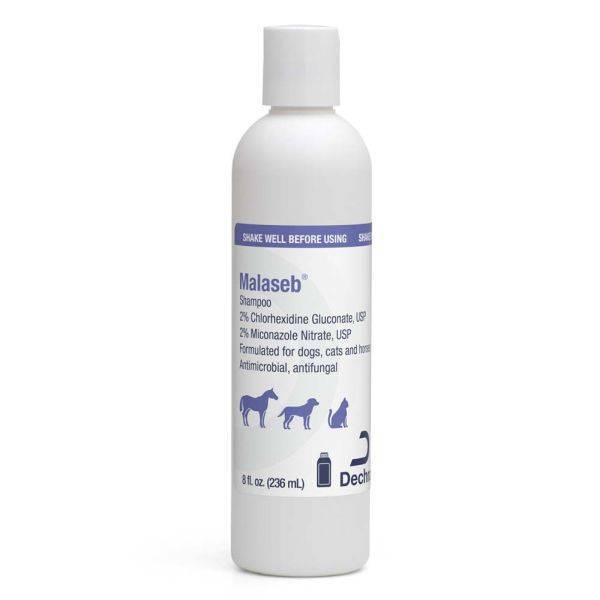 Malaseb Shampoo for Dogs, Cats and Horses 8oz