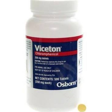 Chloramphenicol 250 mg per tablet