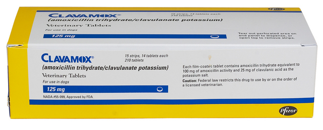 Clavamox 500 mg/125 mg _ clavamox alternative – ICDK