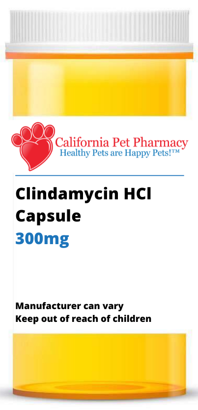 Can Dogs Take Clindamycin Hcl 300 Mg