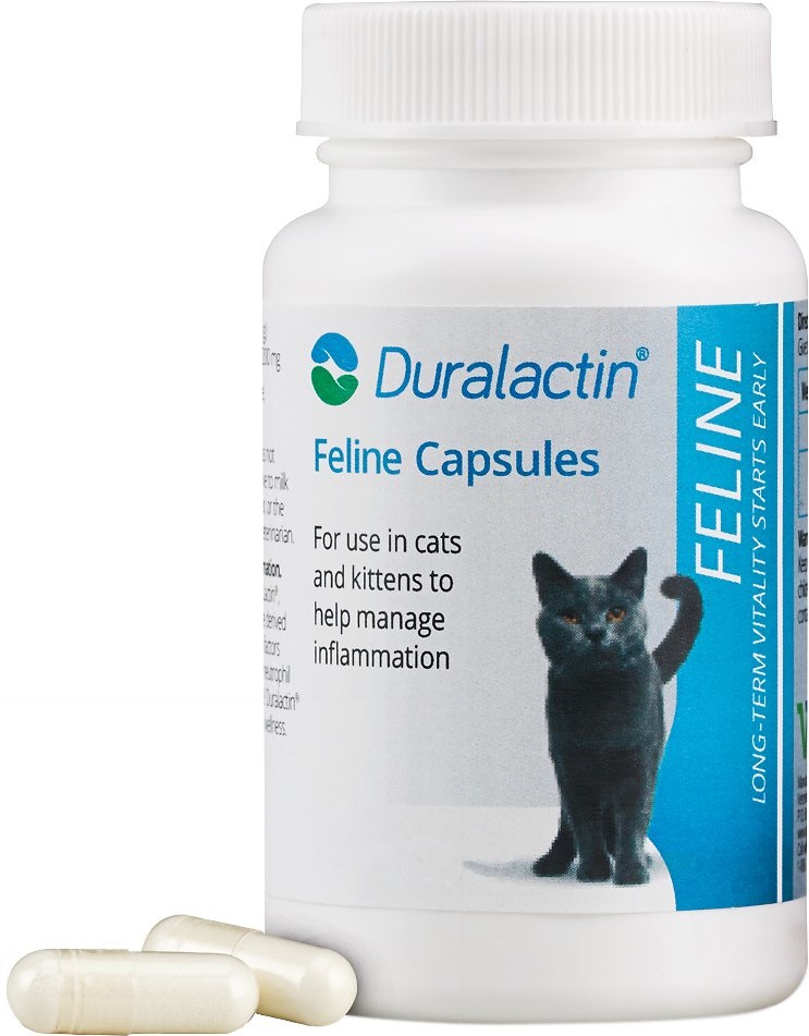 Duralactin Feline Capsules 60 Count