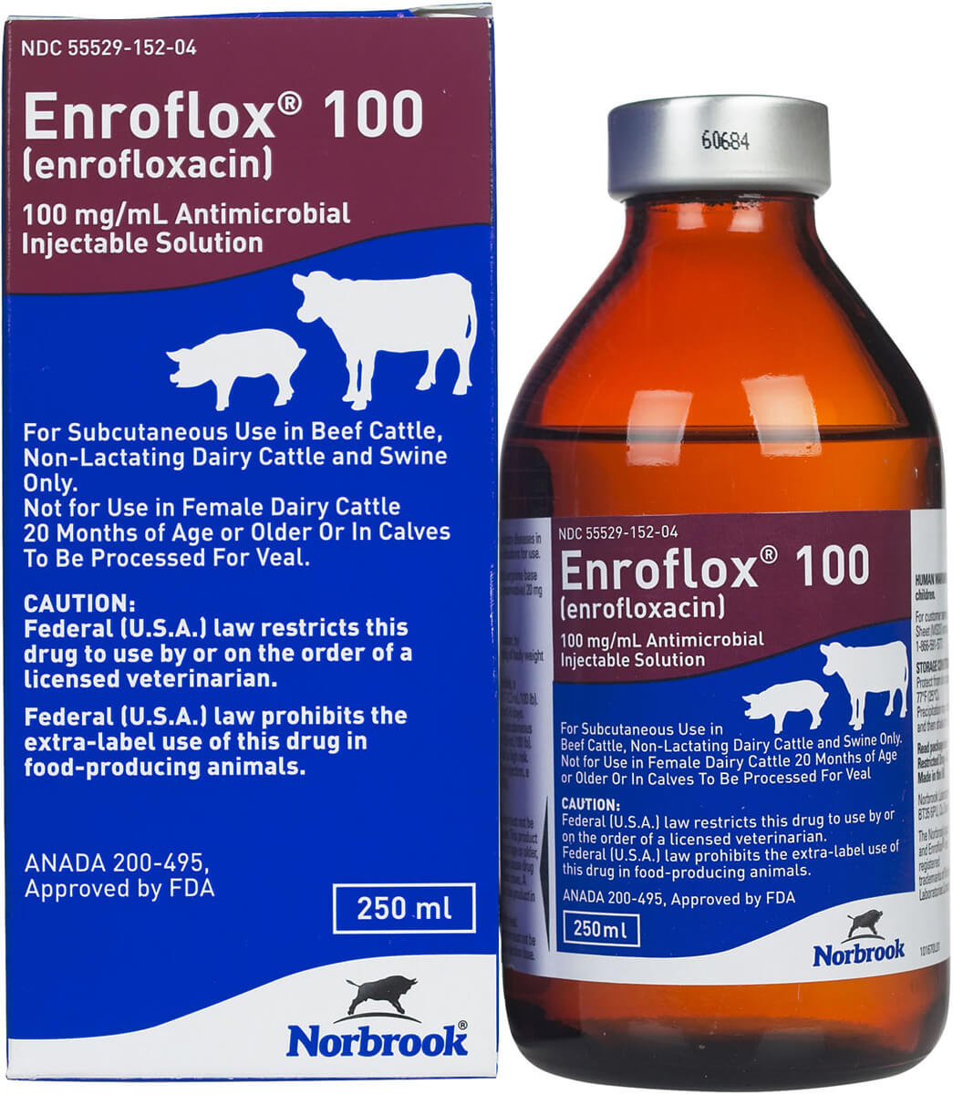 Enroflox 100 Inj 250mL
