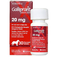 Galliprant: California Pet Pharmacy