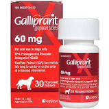 Galliprant: California Pet Pharmacy